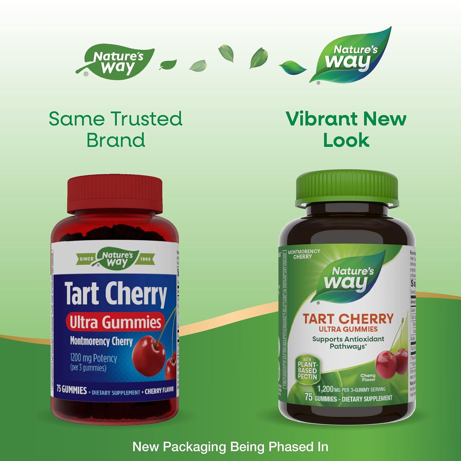 gummy multivitamin for active lifestyles