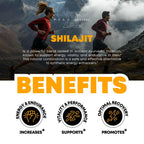 gummy multivitamin for active lifestyles