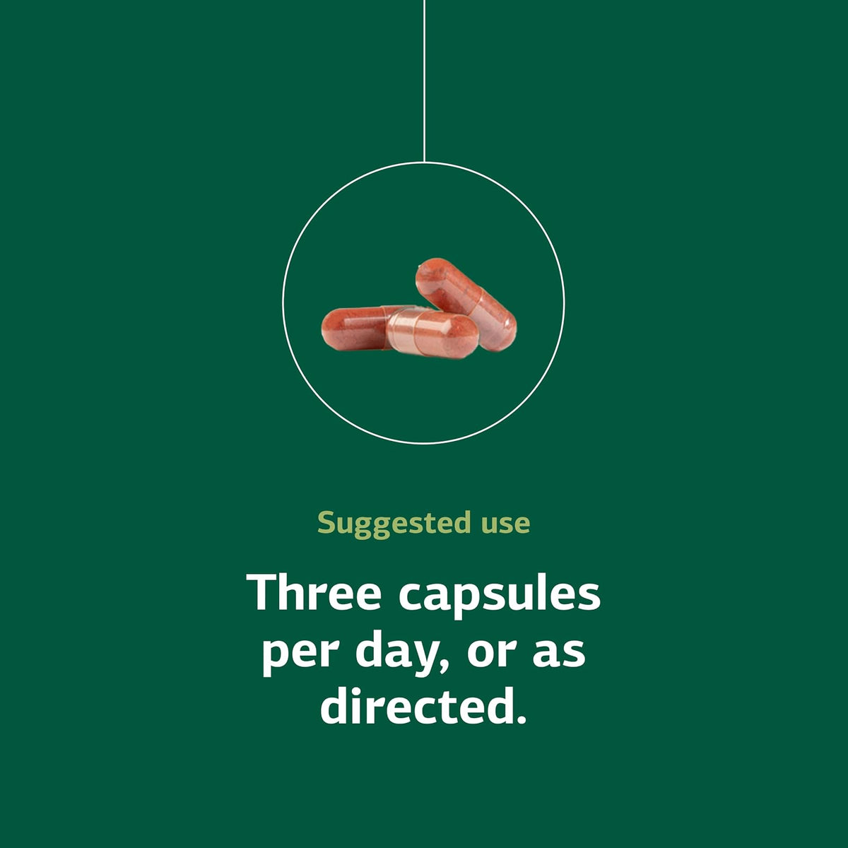 gummy multivitamin for daily wellness