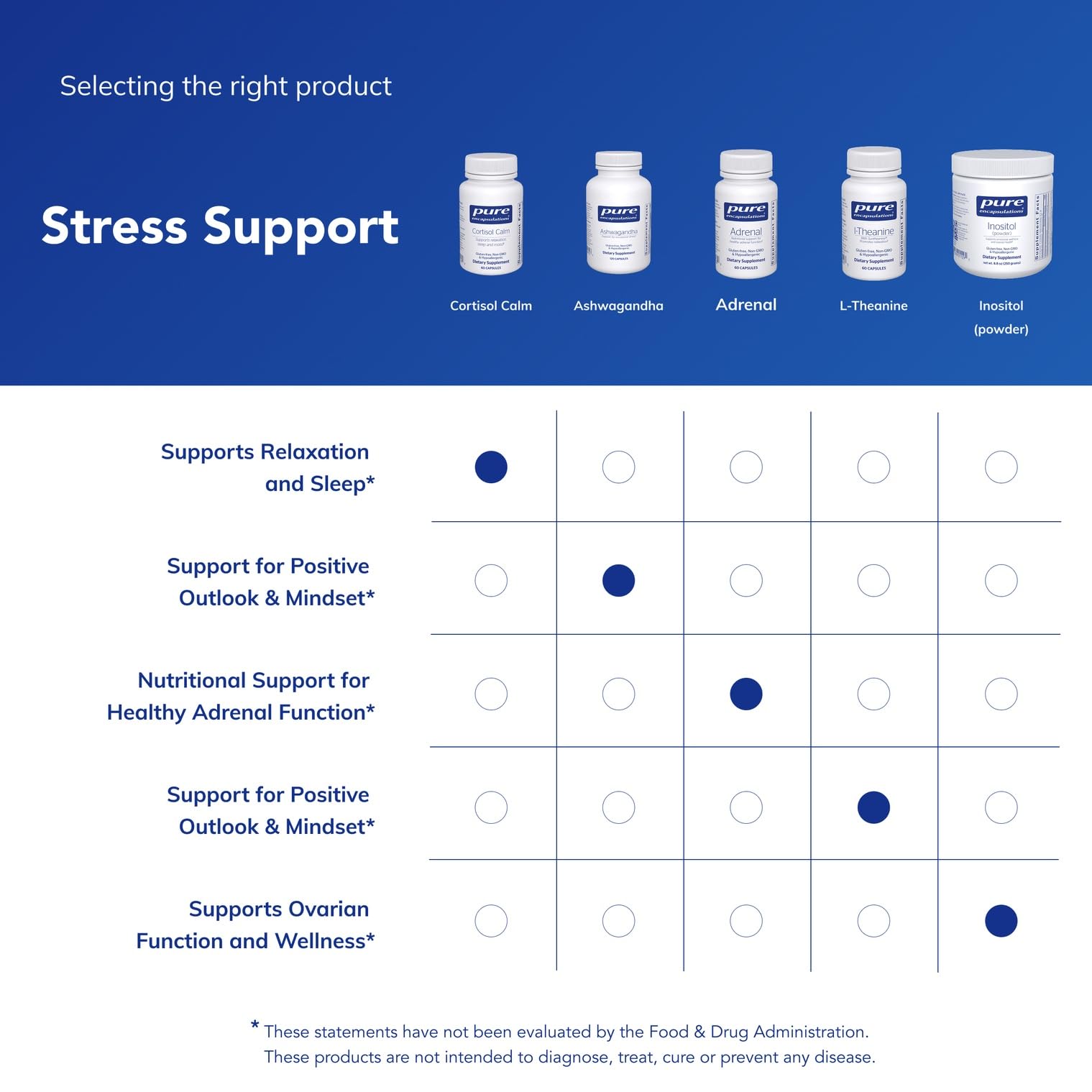 gummy multivitamin for daily wellness