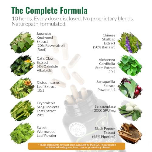 gummy multivitamin for easy consumption