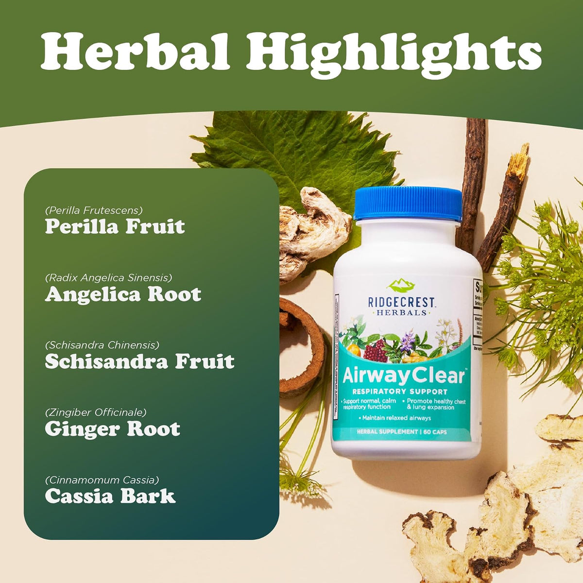 gummy multivitamin for easy digestion