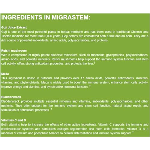 gummy multivitamin for easy supplementation