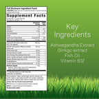 gummy multivitamin for enhanced focus