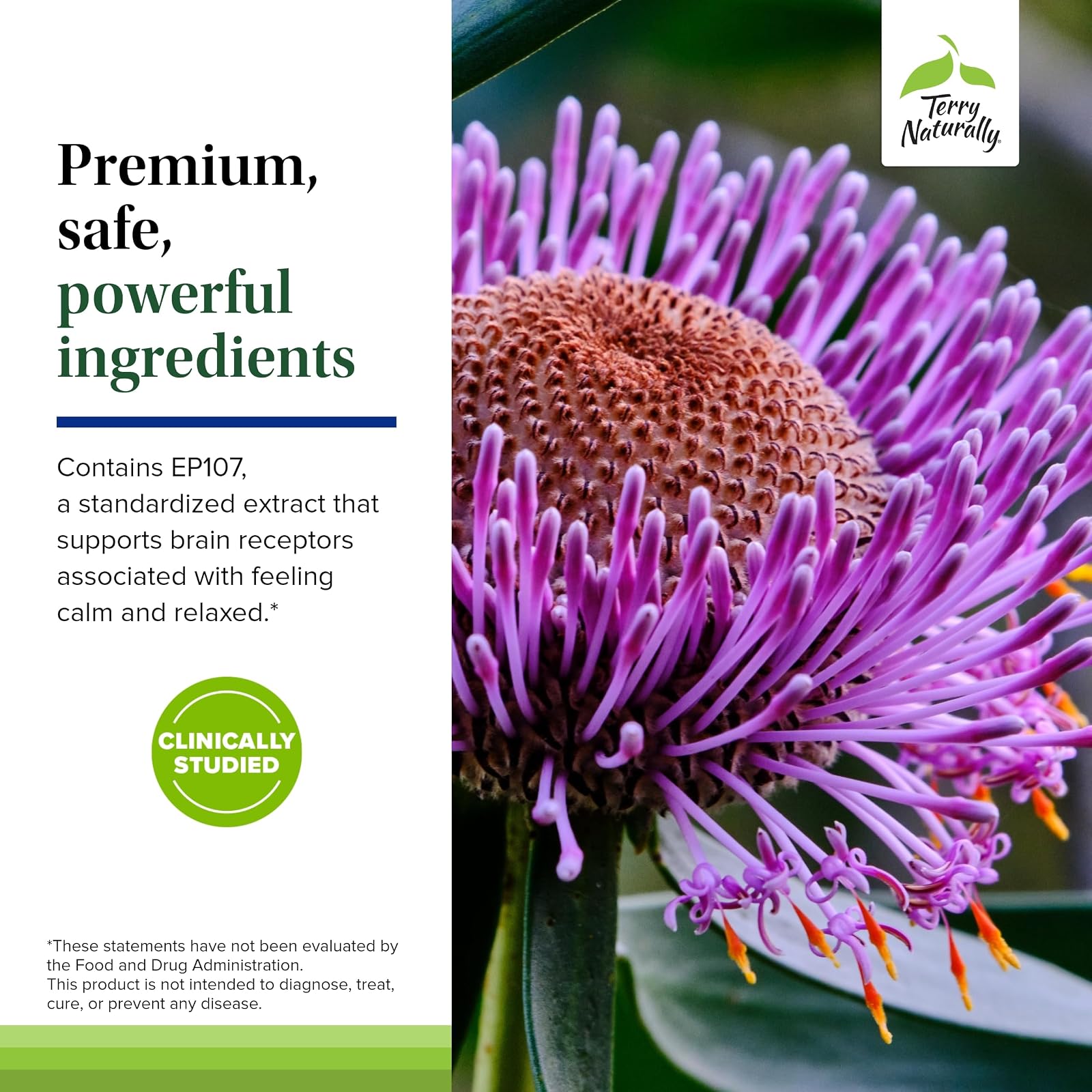 gummy multivitamin for everyday calm