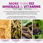 gummy multivitamin for men