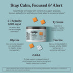 gummy multivitamin for stress relief