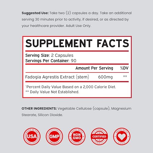 gummy multivitamin for tasty nutrition