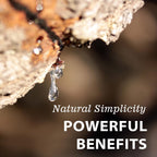 gummy multivitamin for tasty nutrition