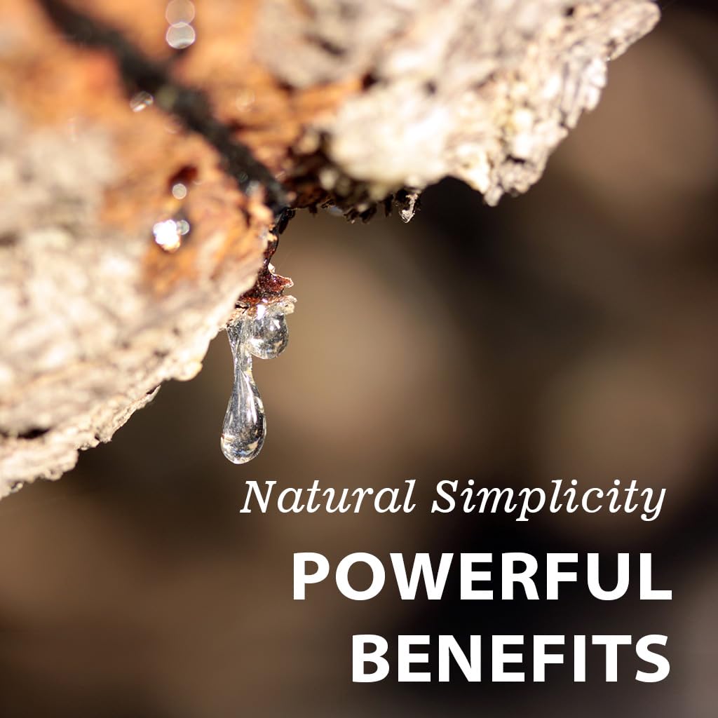 gummy multivitamin for tasty nutrition