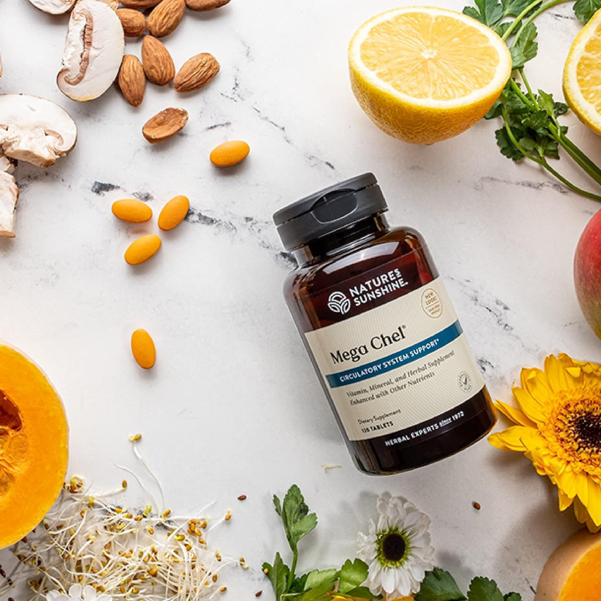 gummy multivitamin for tasty nutrition