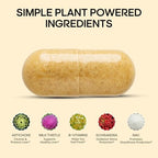 gummy multivitamin for tasty nutrition