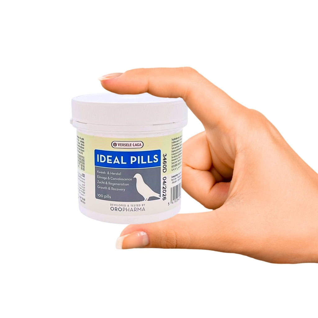 gummy multivitamin for tasty nutrition