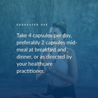 gummy multivitamin for tasty nutrition