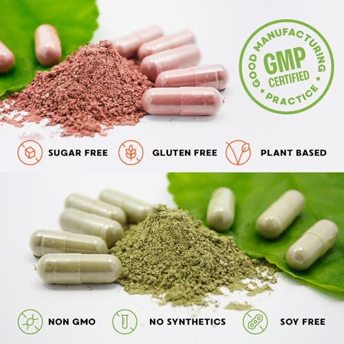 gummy multivitamin for tasty nutrition