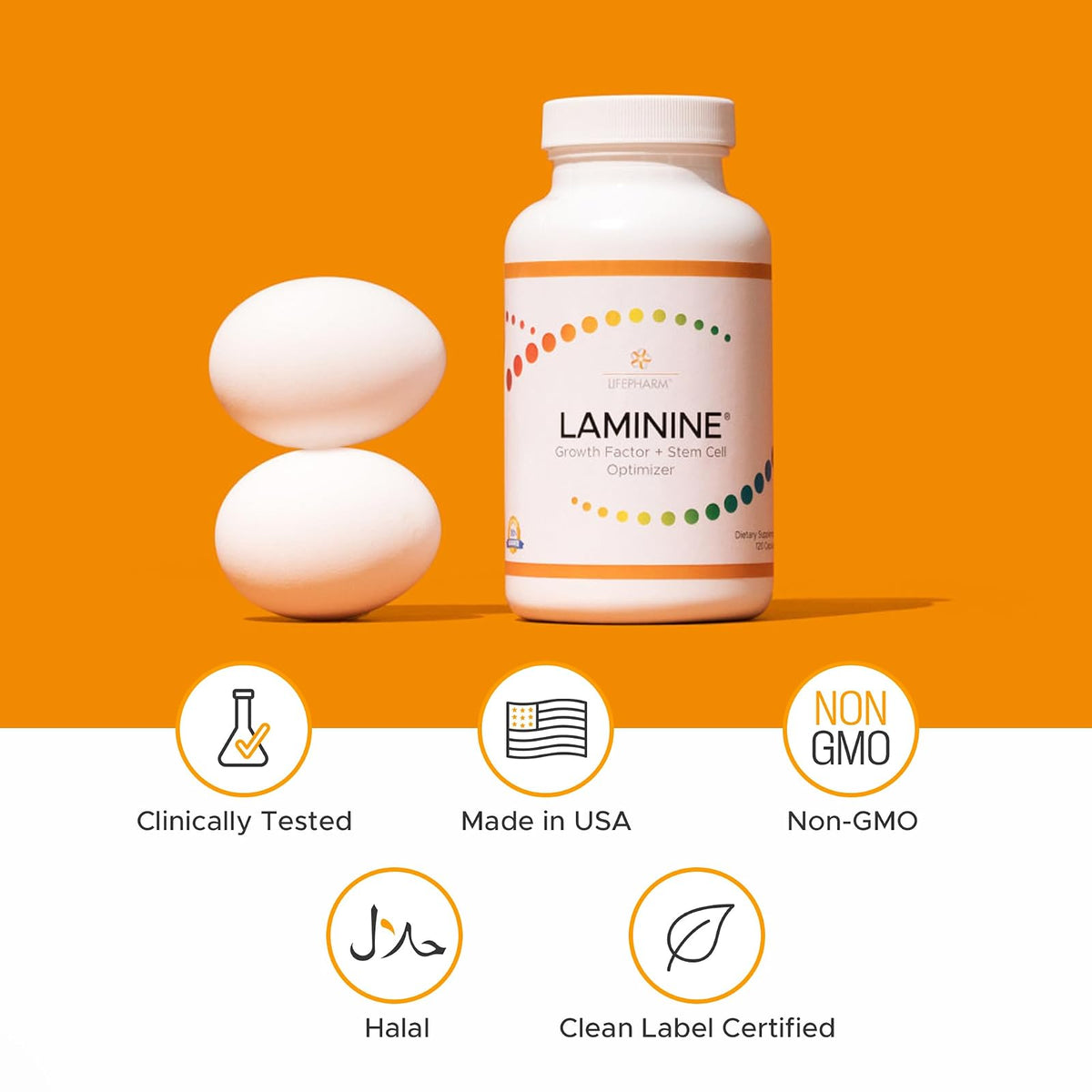 gummy multivitamin for tasty nutrition