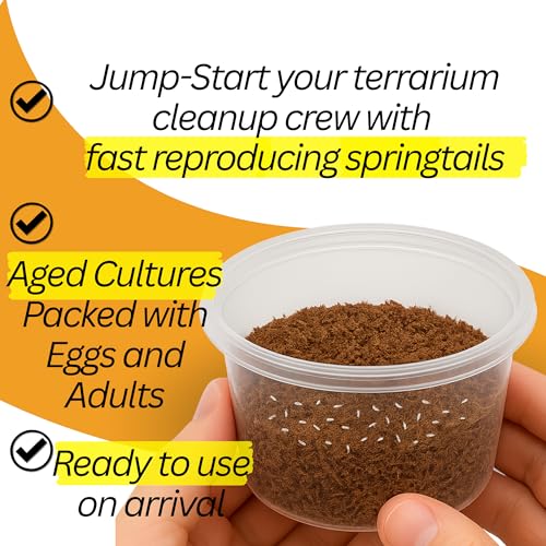 gummy multivitamin for tasty nutrition