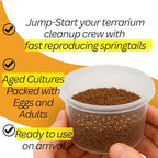 gummy multivitamin for tasty nutrition