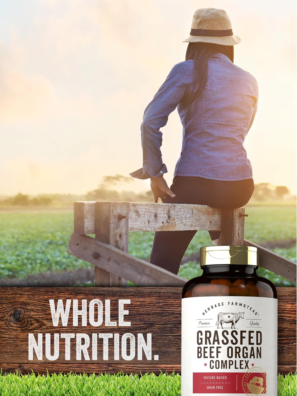 gummy multivitamin for tasty nutrition