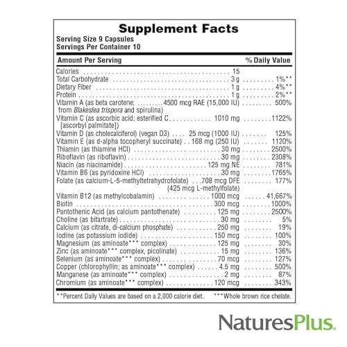 gummy multivitamin for tasty nutrition