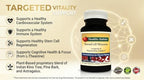 gummy multivitamin for tasty nutrition
