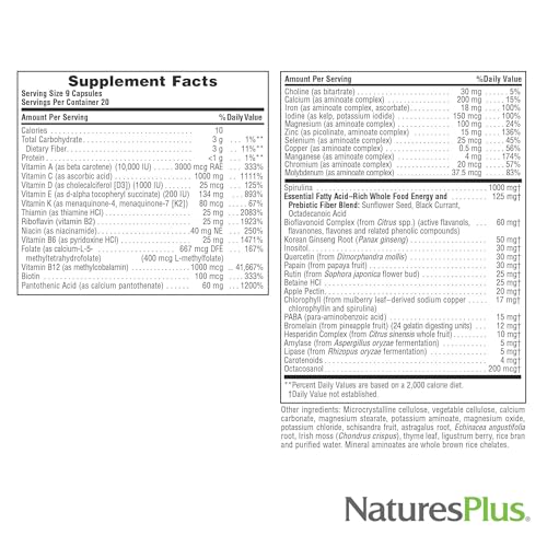 gummy multivitamin for tasty nutrition