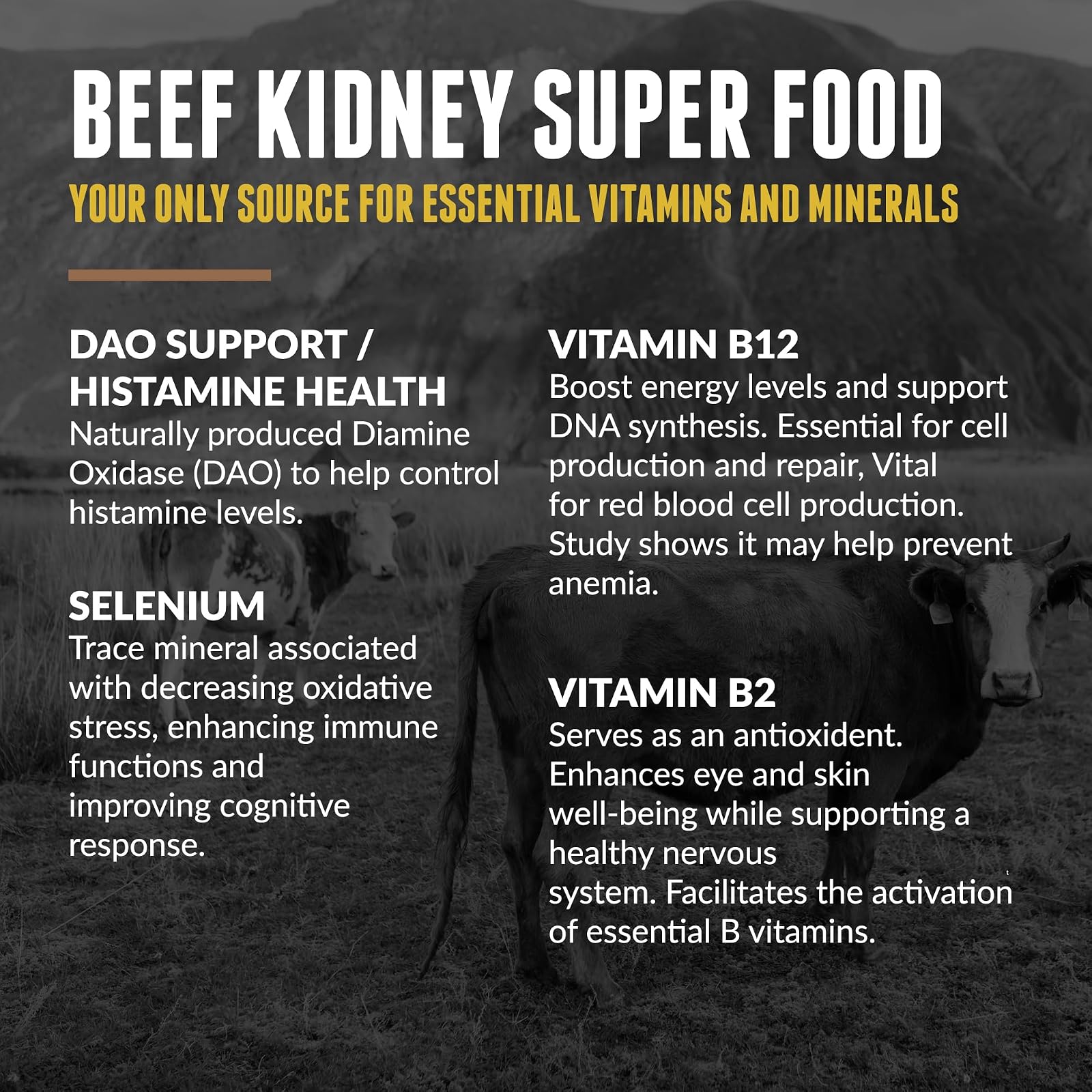 gummy multivitamin with beef kidney