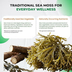 gummy multivitamin with Black Seed Oil