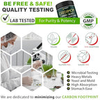 gummy multivitamin with herbs