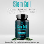 gummy multivitamin with stem cell benefits