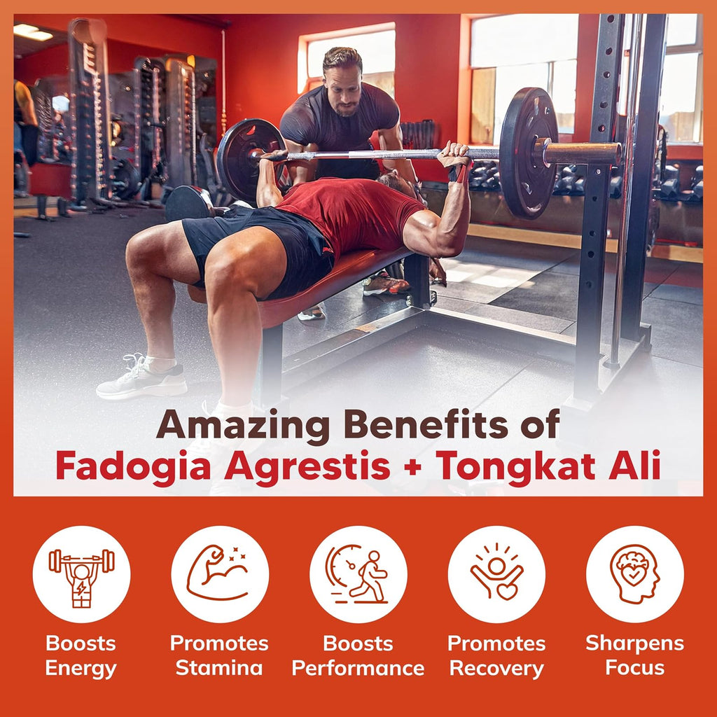 gummy multivitamin with Tongkat Ali