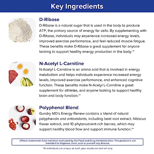 Gundry MD energy supplement for endurance