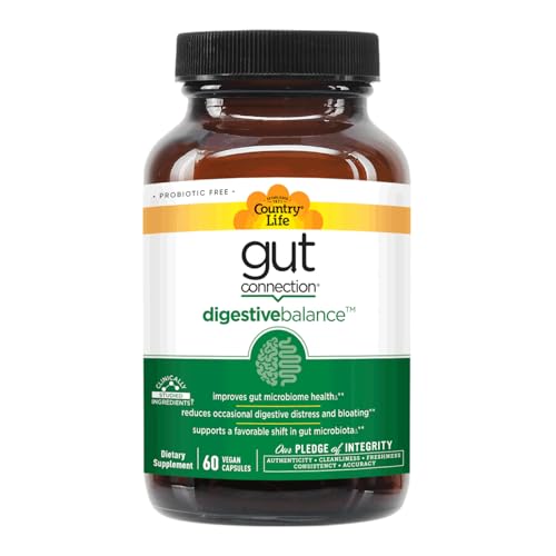 gut connection for everyday health