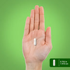 gut health benefits of Acidophilus