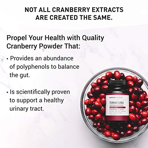 Gut health benefits of cranberry probiotics
