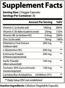 gut health benefits of elderberry