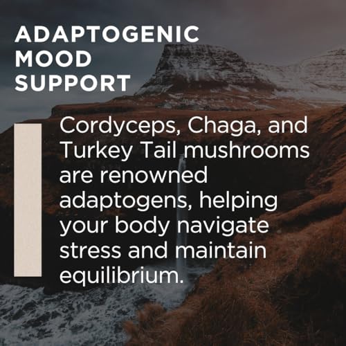 Gut health benefits of mushroom extract