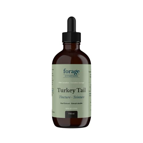gut health benefits of turkey tail mushrooms