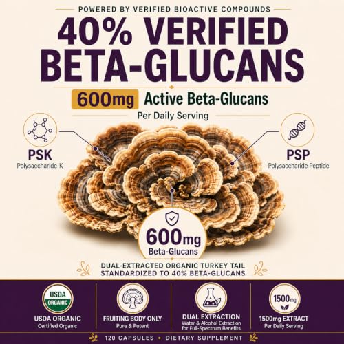 Gut health benefits of Turkey Tail mushrooms