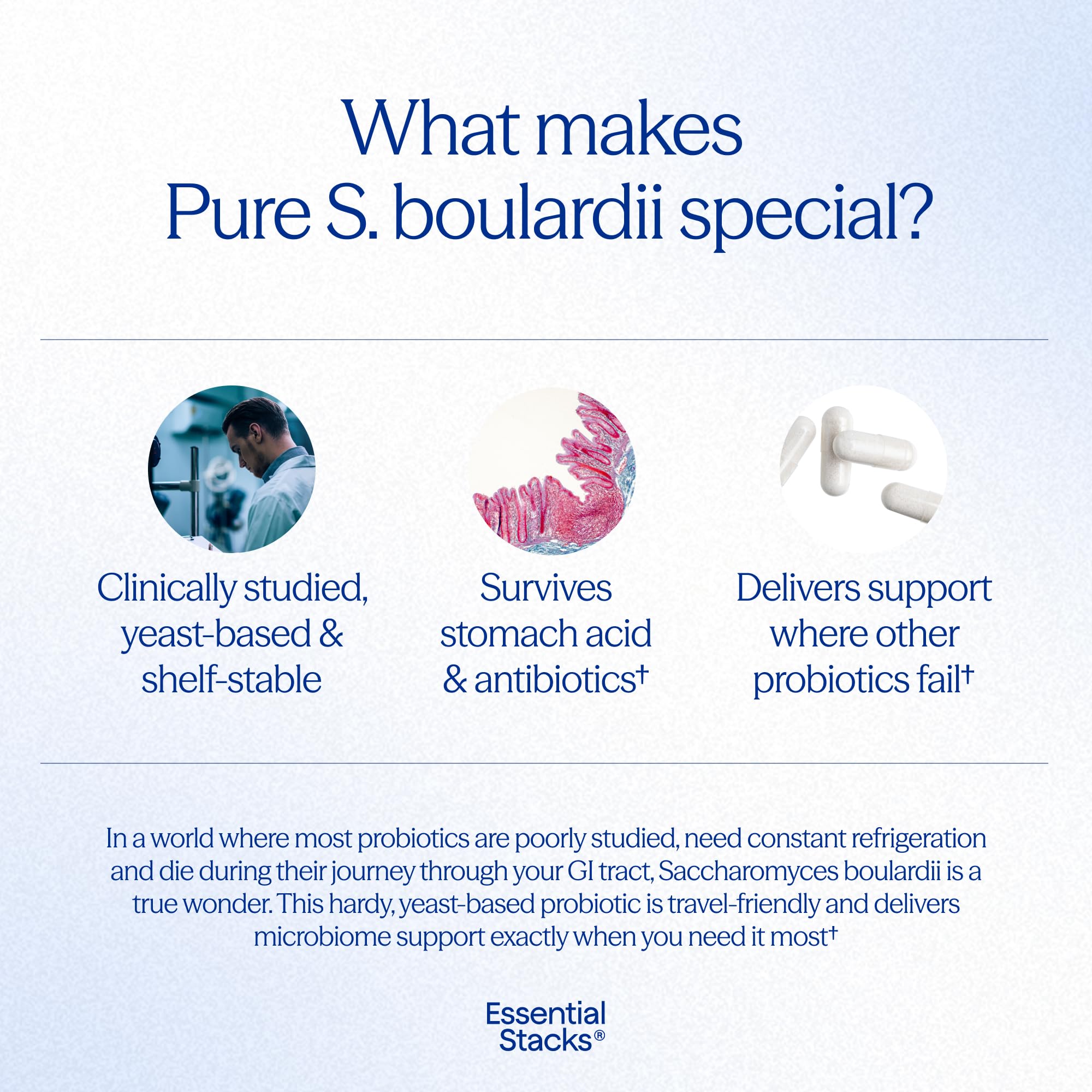 gut health capsules for everyday use