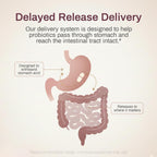 gut health capsules for women