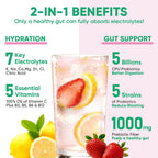 Gut health electrolytes for active lifestyles
