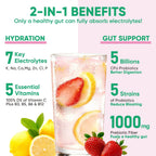 Gut health electrolytes for daily wellness