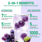 Gut health electrolytes for daily wellness