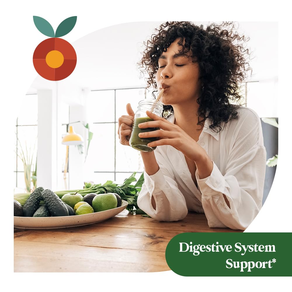 gut health superfood blend for vitality