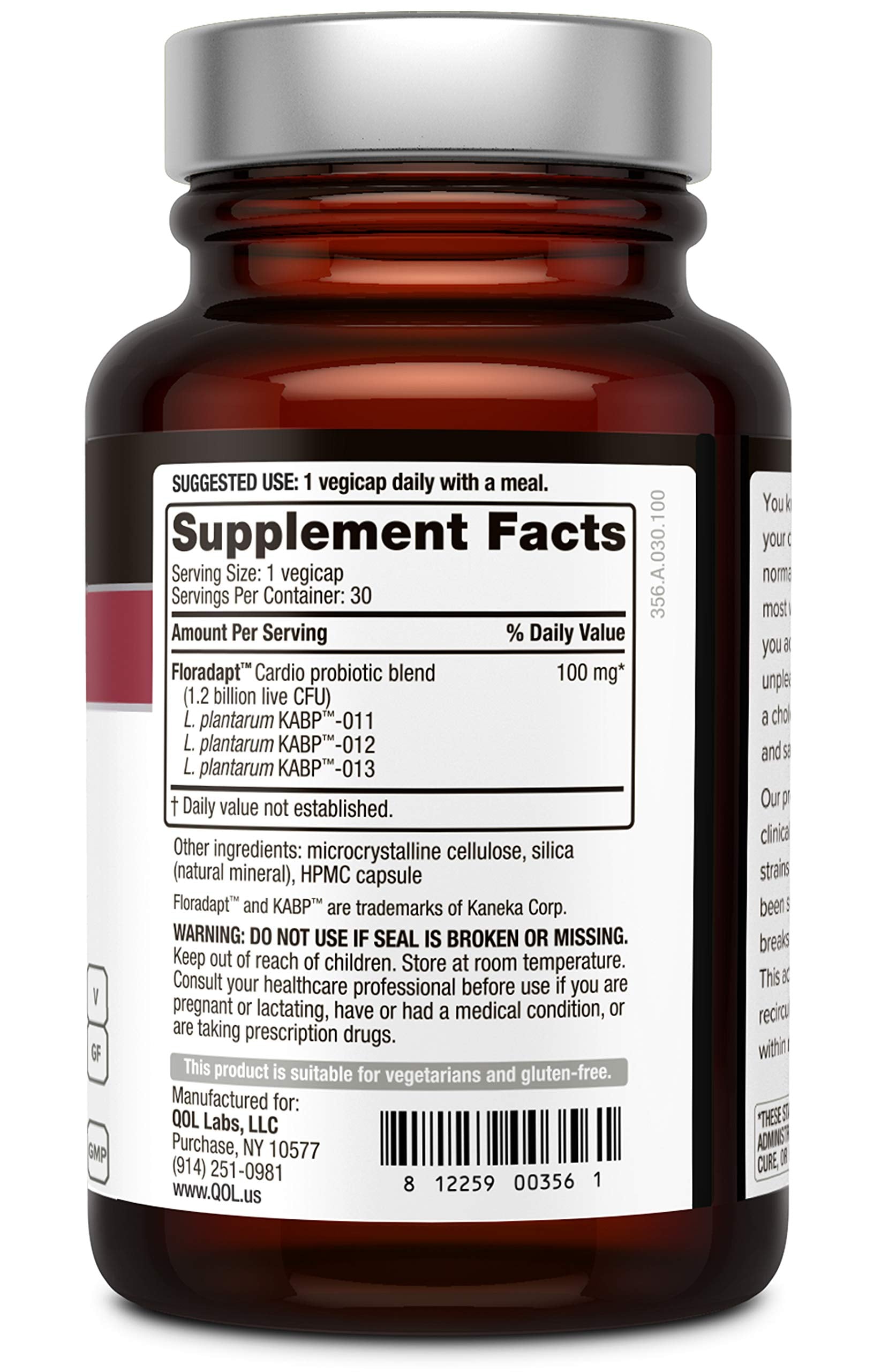 gut health supplement for daily wellness