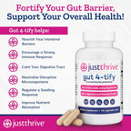 gut health support for men