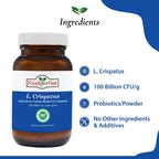 gut health support probiotic supplement