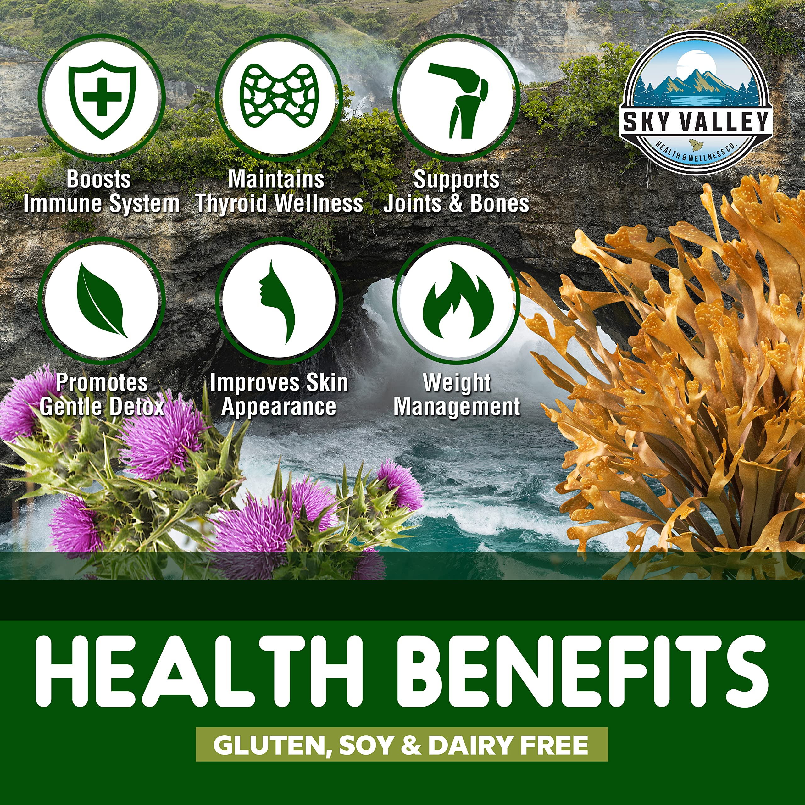 gut health support sea moss gummies
