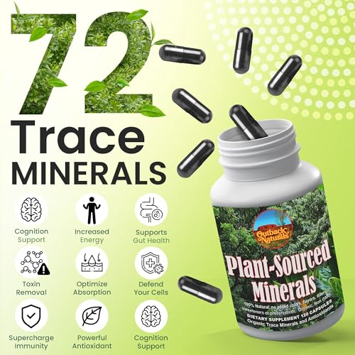 gut health support supplements